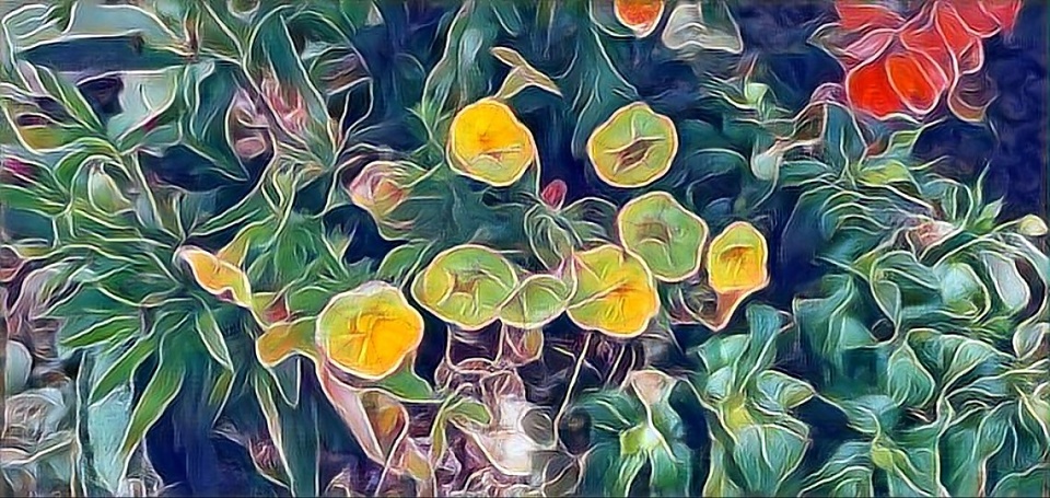 lush result | LauriesPictos | Blipfoto