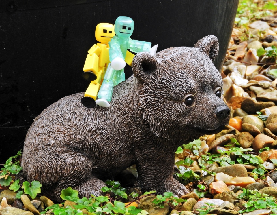 Bear-back riding | Tigger101 | Blipfoto