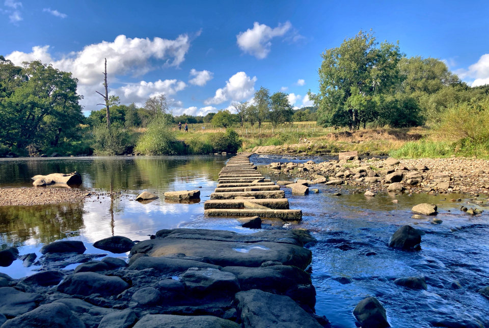 Stepping Stones… | mambo | Blipfoto