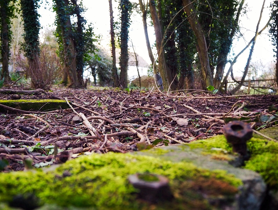 Quite exciting. | Cherryflapjack | Blipfoto