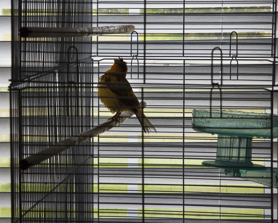 Light and Shadows | bugsman | Blipfoto