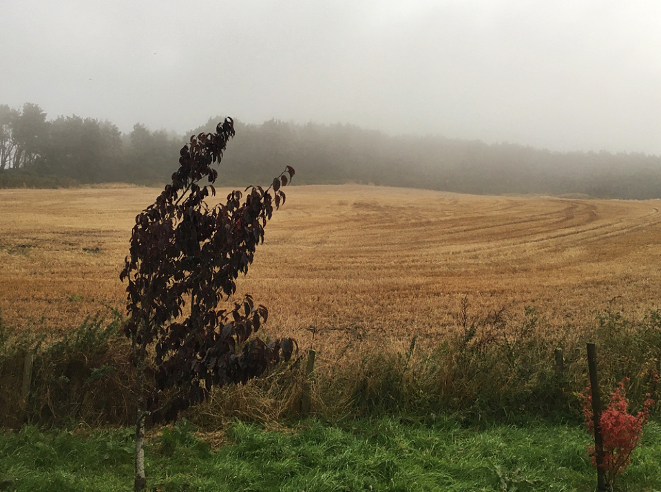 Gey driech | Drumderfit | Blipfoto