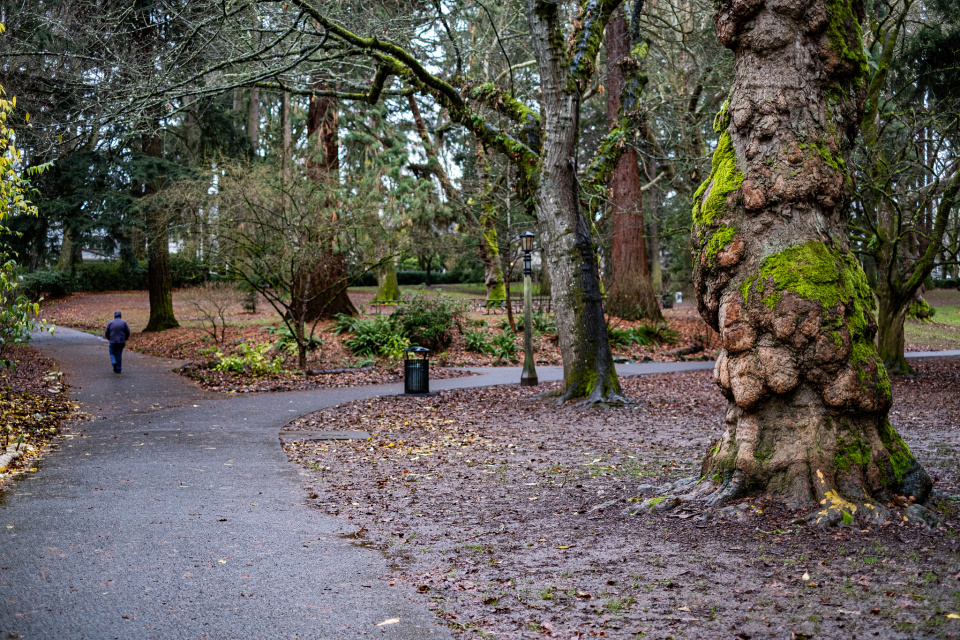 The day after solstice | kendallishere | Blipfoto