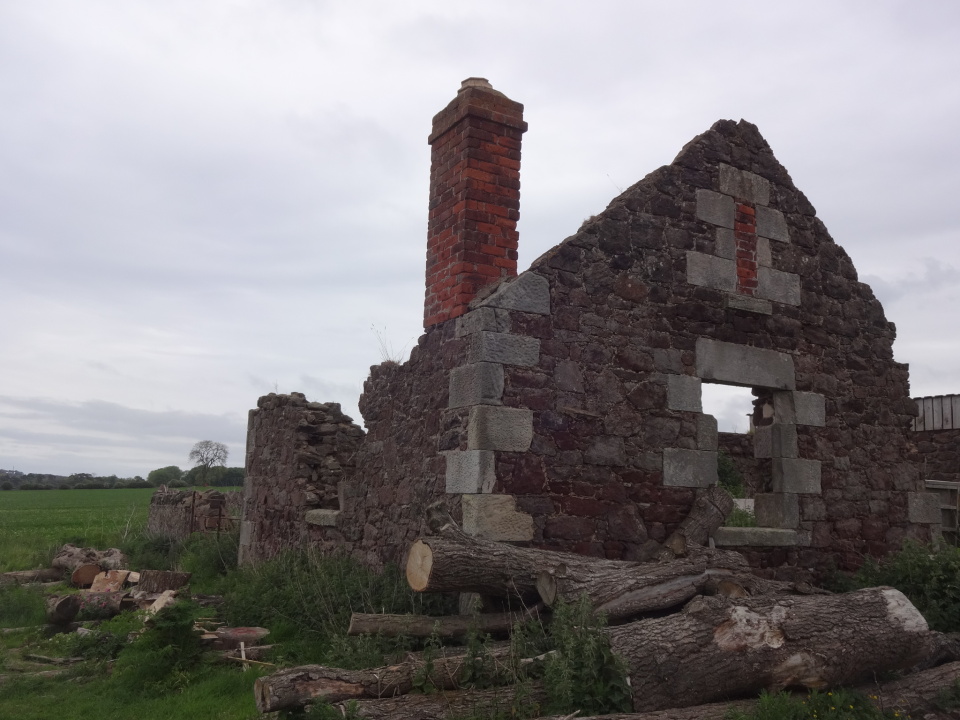 On The John Muir Way | Teasel | Blipfoto