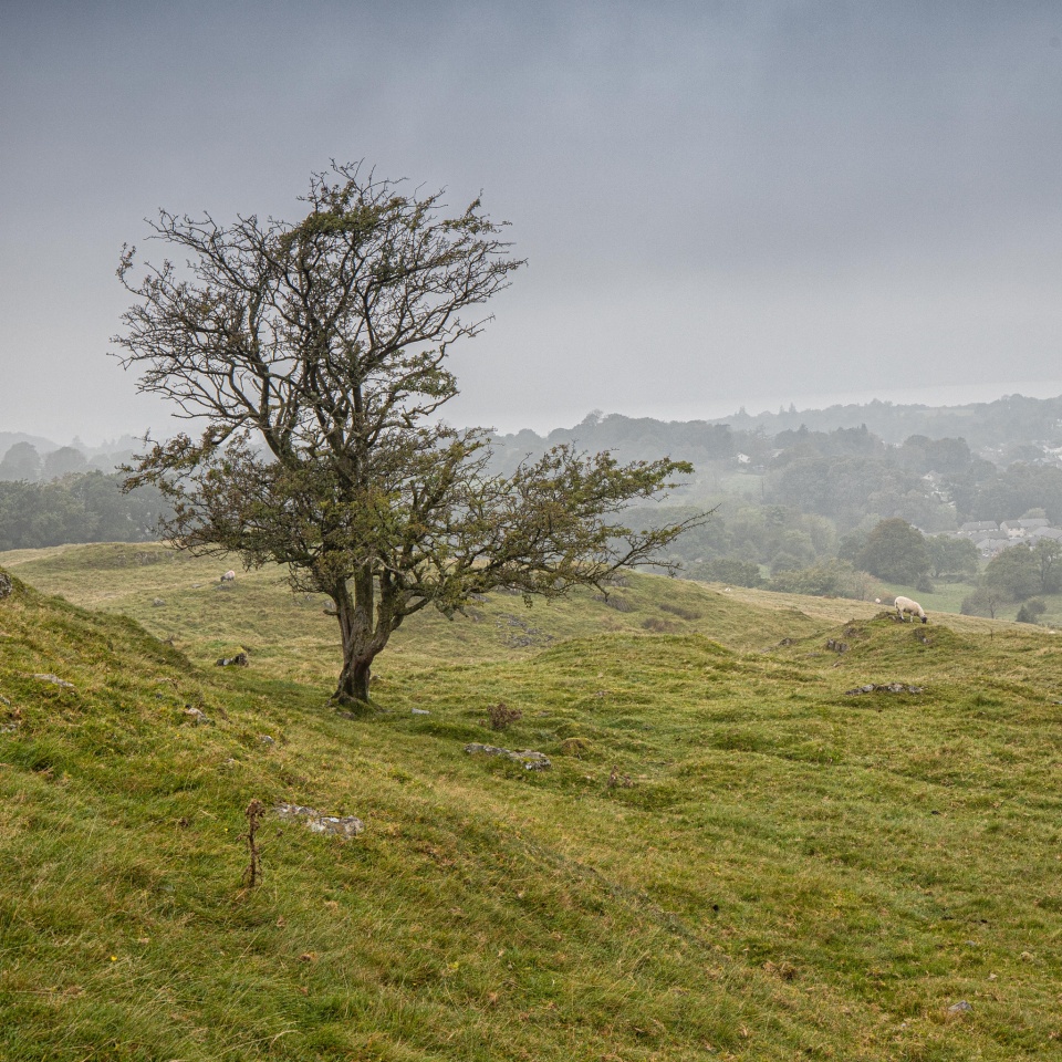 School Knott, Windermere | Fastaperture | Blipfoto