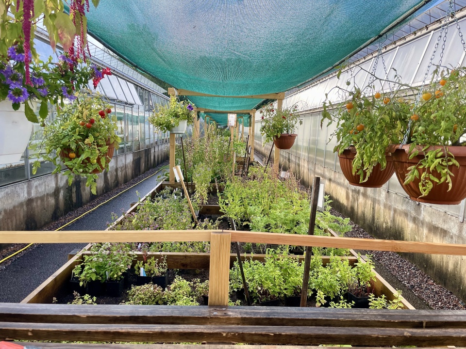 Such a rainy day at first.... | Anitsirk | Blipfoto