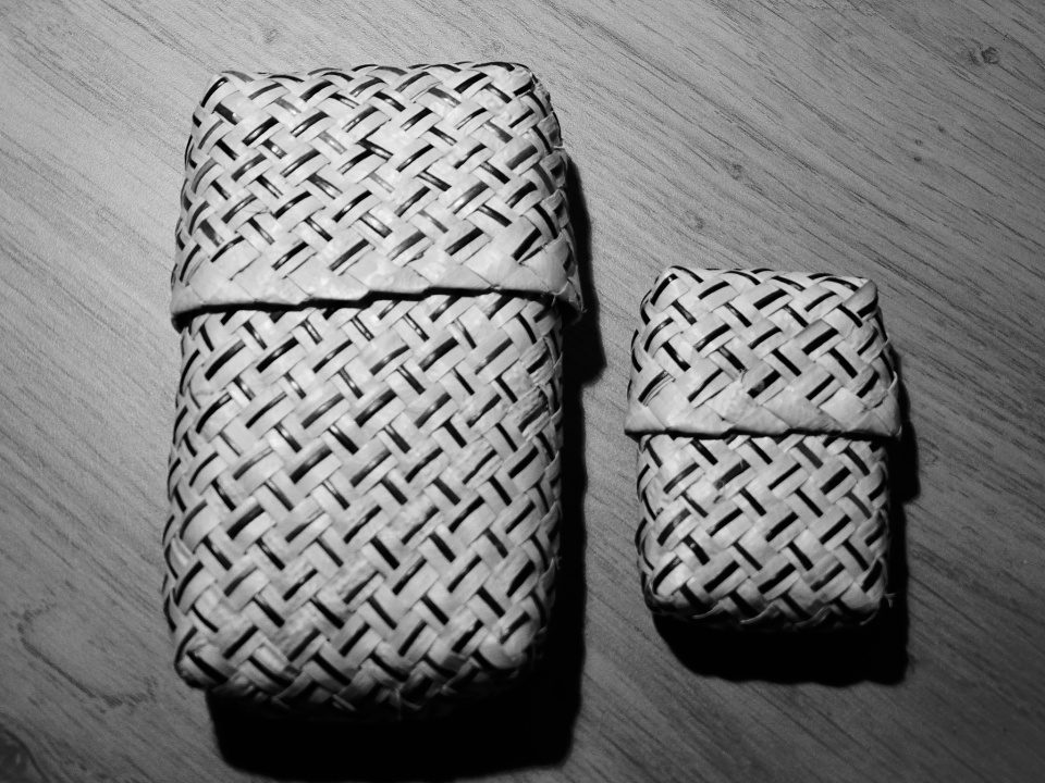 Tampipi | Ellaphant | Blipfoto