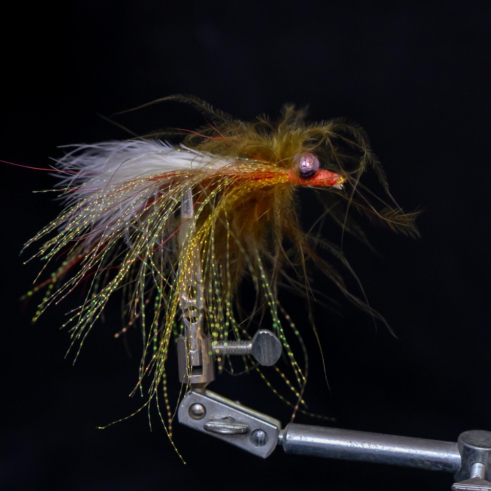 Rasta | dbifulco | Blipfoto