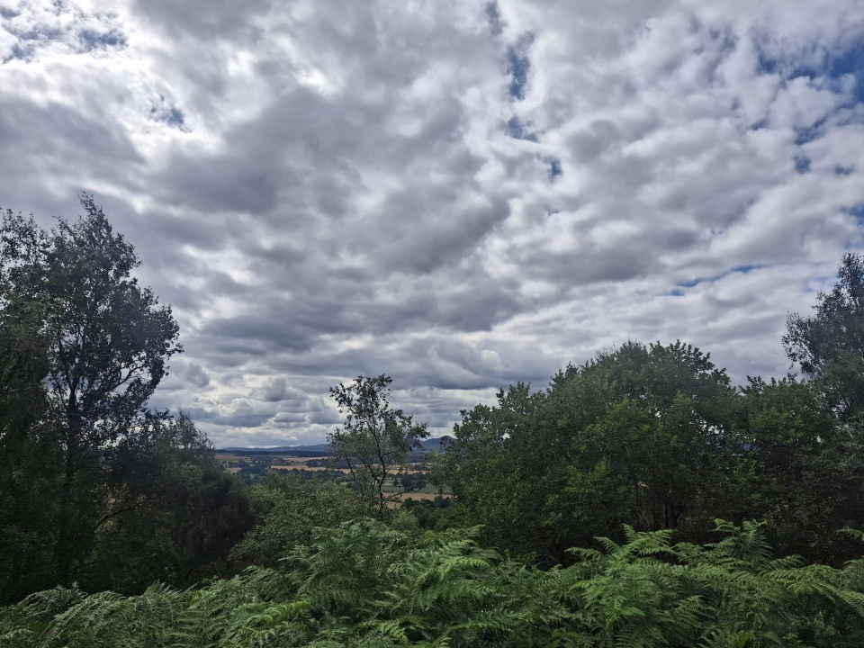 Arniston colliery bing | EcoDad | Blipfoto