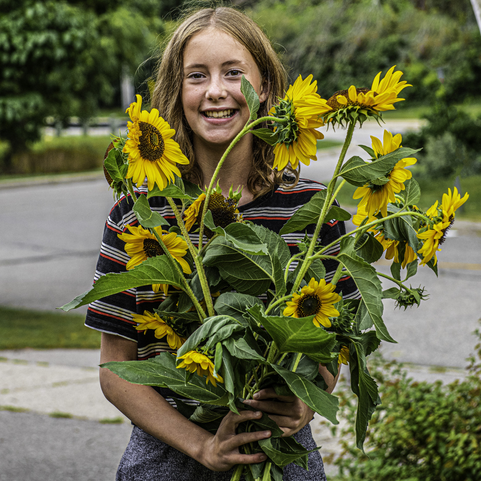 Sunflowers | RaspberryJefe | Blipfoto