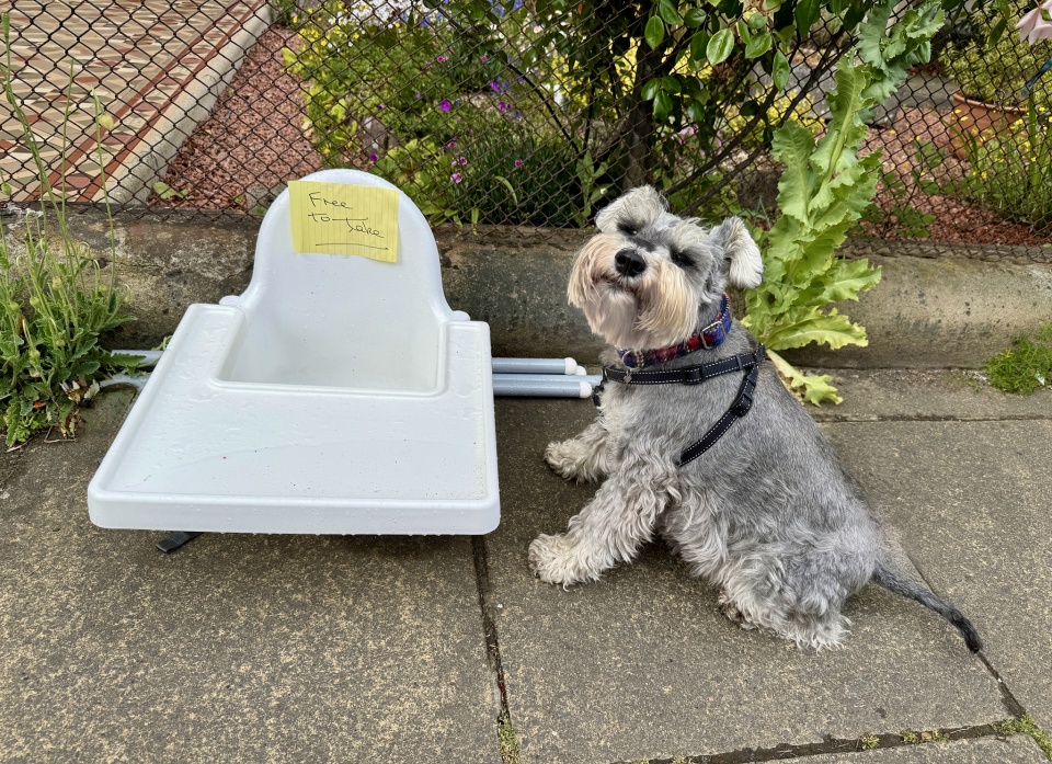 Smile, Archie! | LadyMarchmont | Blipfoto