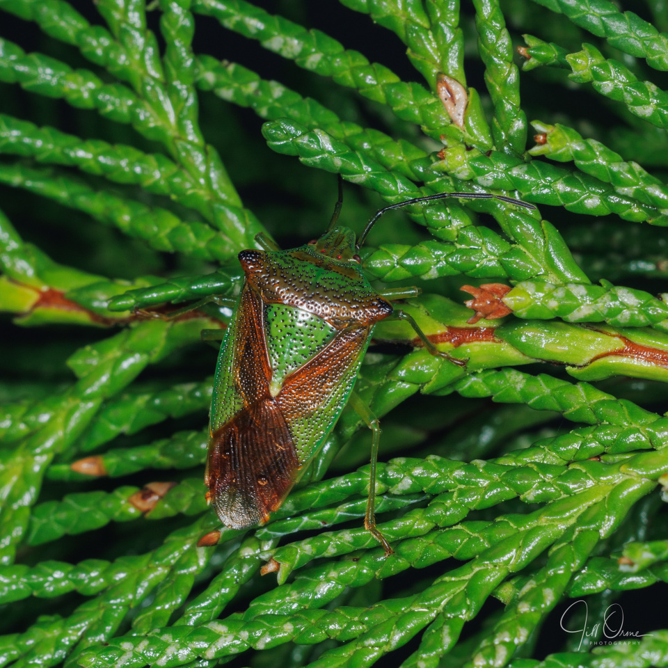 Wet | JDO | Blipfoto