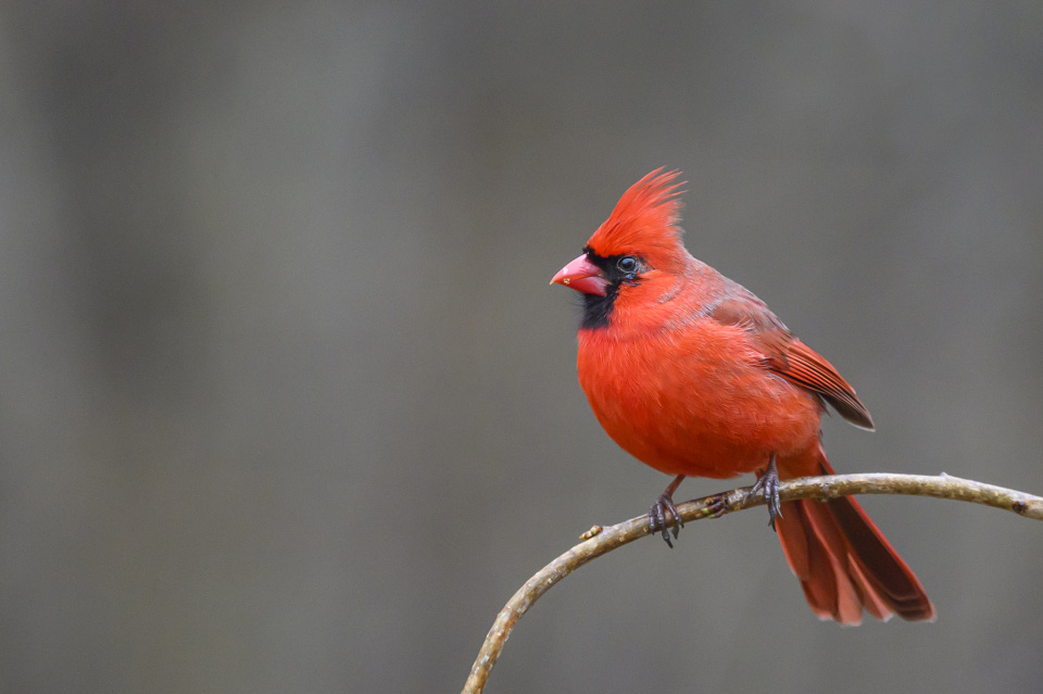 Rainy Days and Mondays... | dbifulco | Blipfoto