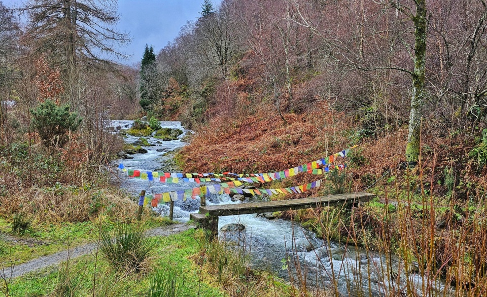 Christmas Day walk | trevorearthy | Blipfoto