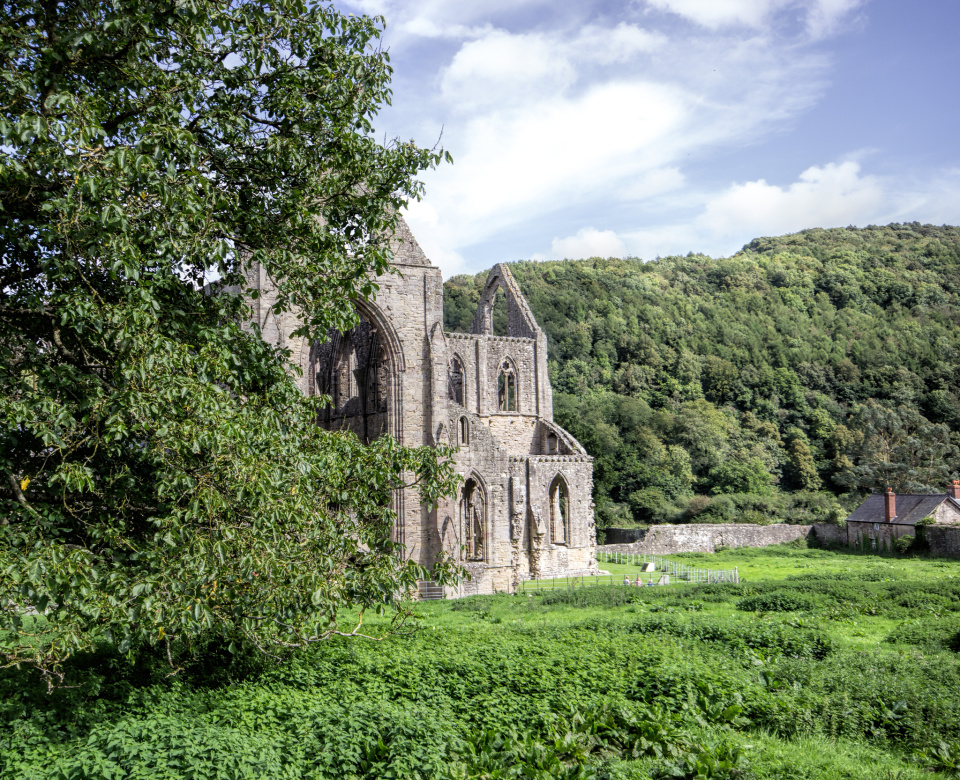 Tintern Abbey | nigelsmart | Blipfoto