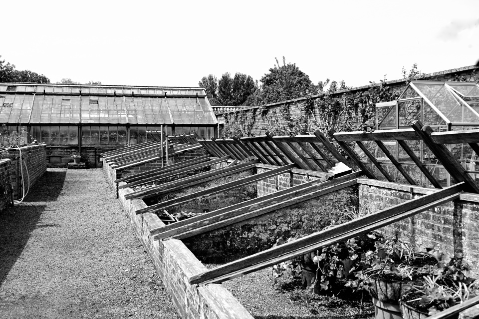 138 365 Cold Frames Timmynomates Blipfoto 138 365 Cold Frames Timmynomates Blipfoto