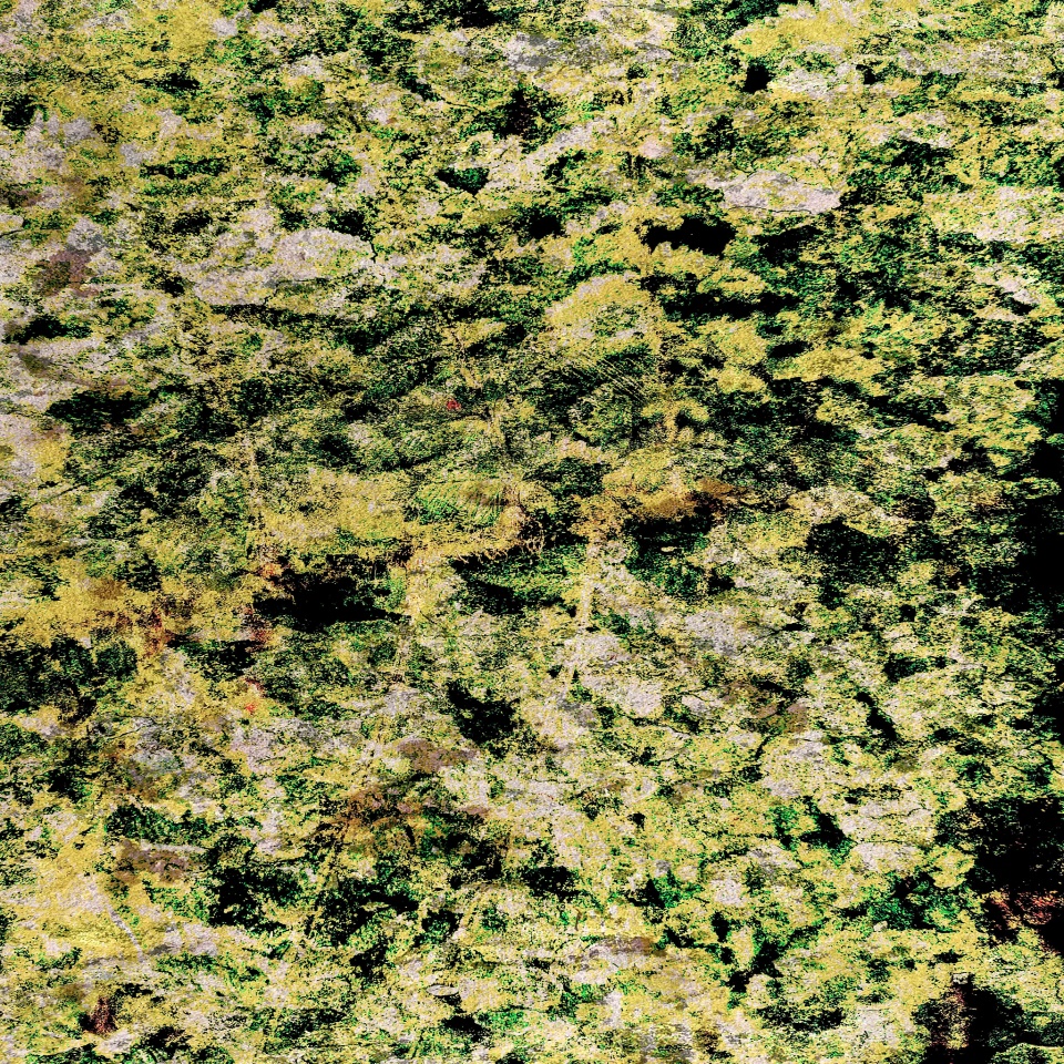 Abstract Thursday: Texture | davidc | Blipfoto