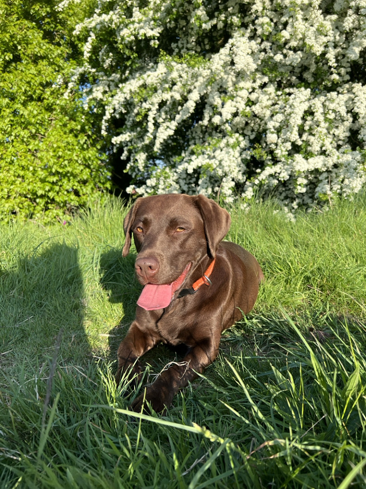 Cool | Romay | Blipfoto