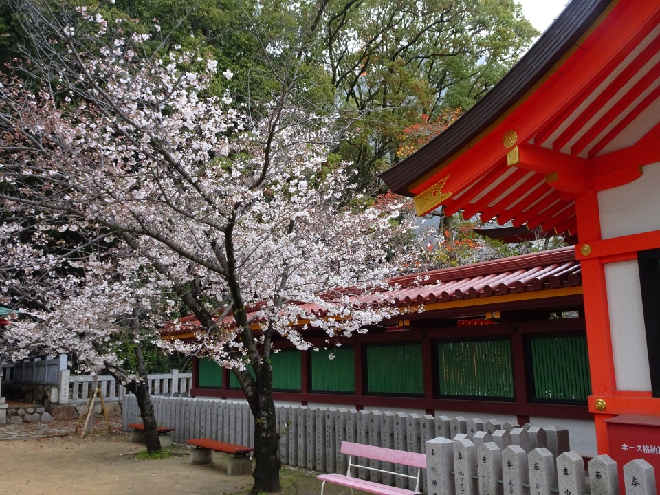 Failure Is Not An Option | Esper | Blipfoto