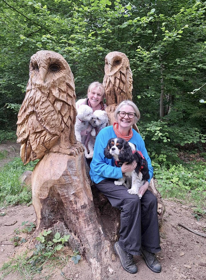 Owls in the woods | Emsie | Blipfoto