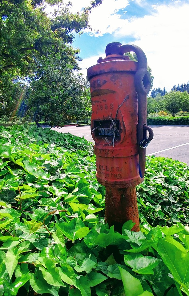 Fire Hydrant | Carolina | Blipfoto