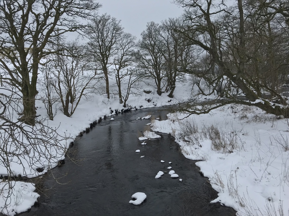 River Gryffe | X5AUD | Blipfoto