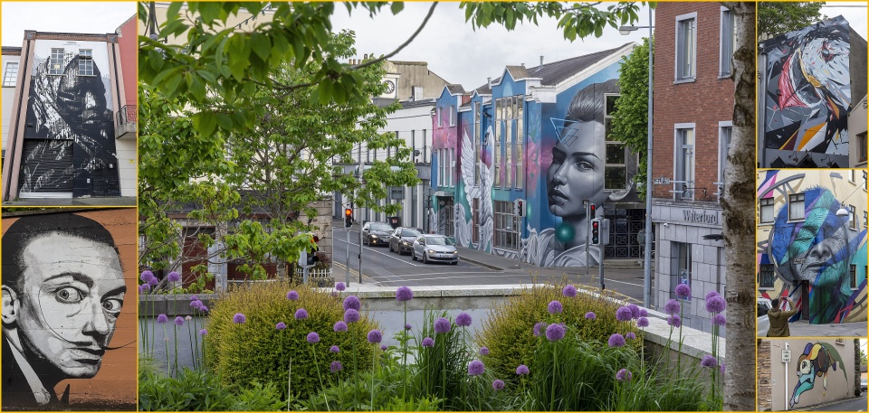 Waterford Street Art | CorvidFiesta | Blipfoto
