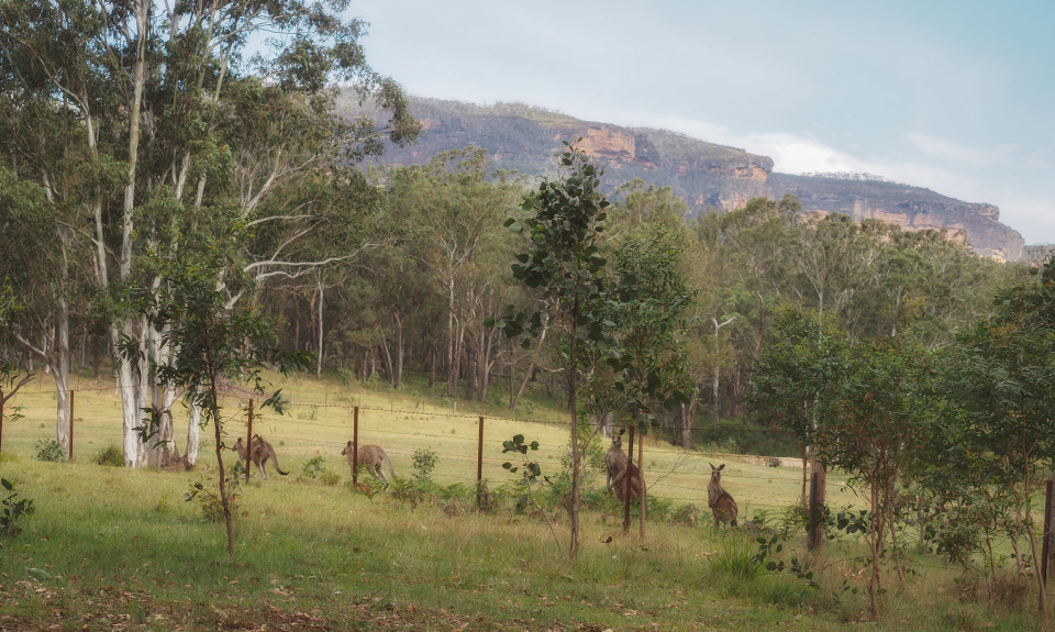 Home | isbi | Blipfoto