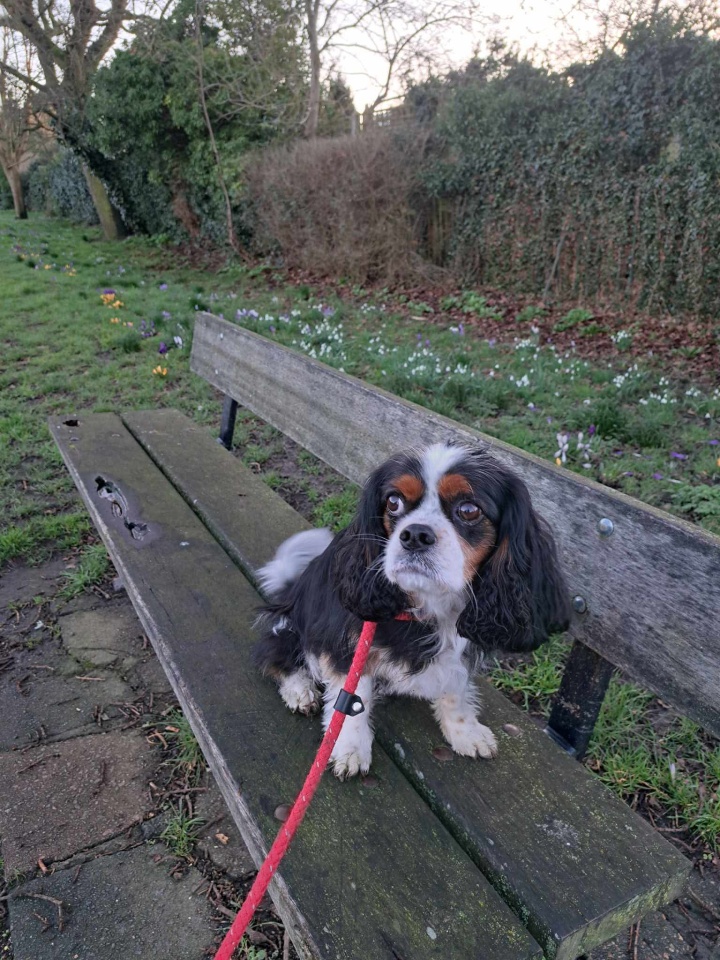 Signs of spring | Emsie | Blipfoto