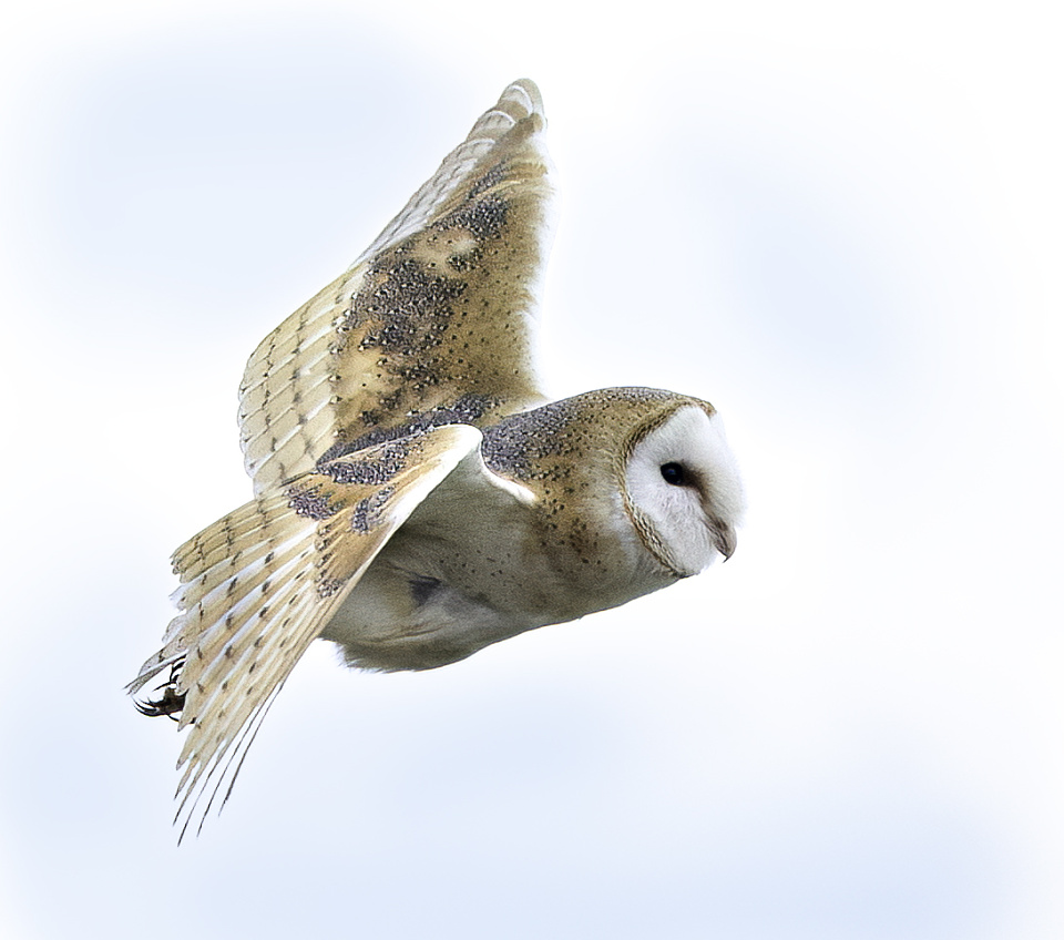 Closer | Hillyblips | Blipfoto