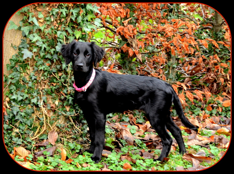 What a grey and dismal day... | chrisA | Blipfoto