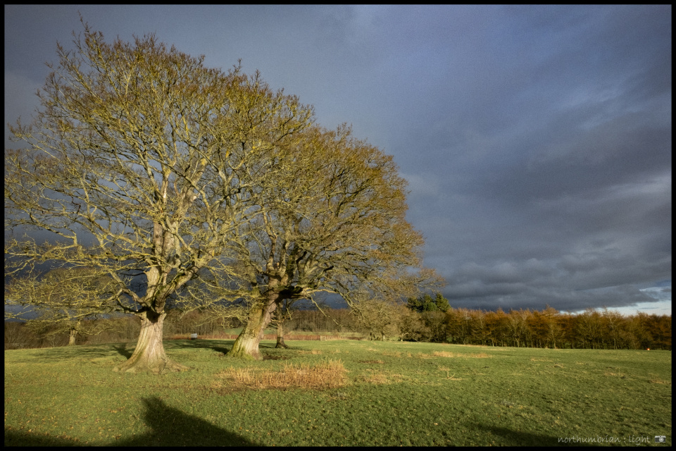 Our chimney ... | RobinDown | Blipfoto