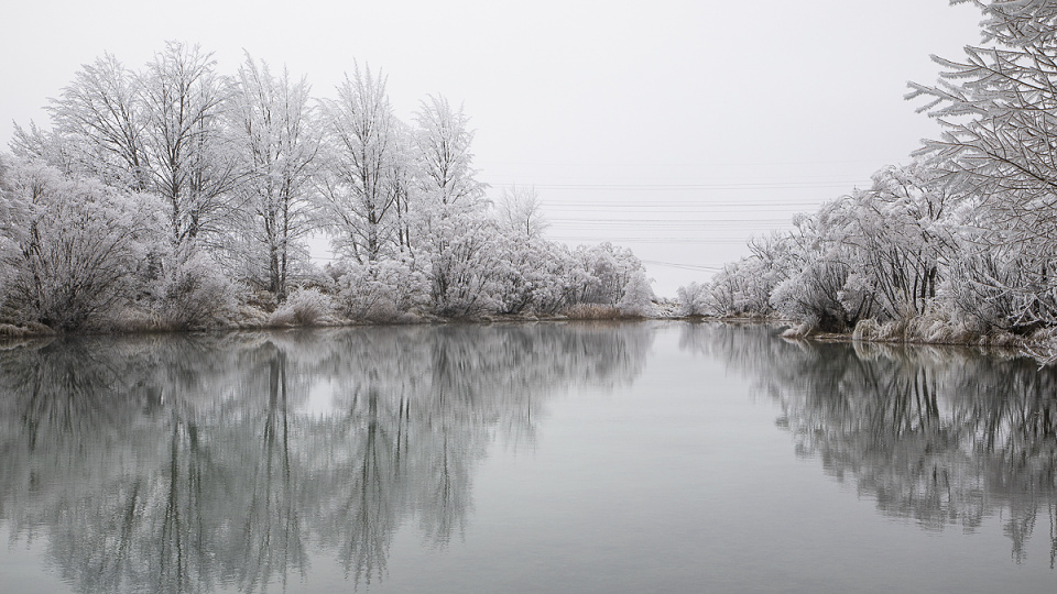 JASDIP.....Hoar Frost, Day 4 | twigs | Blipfoto