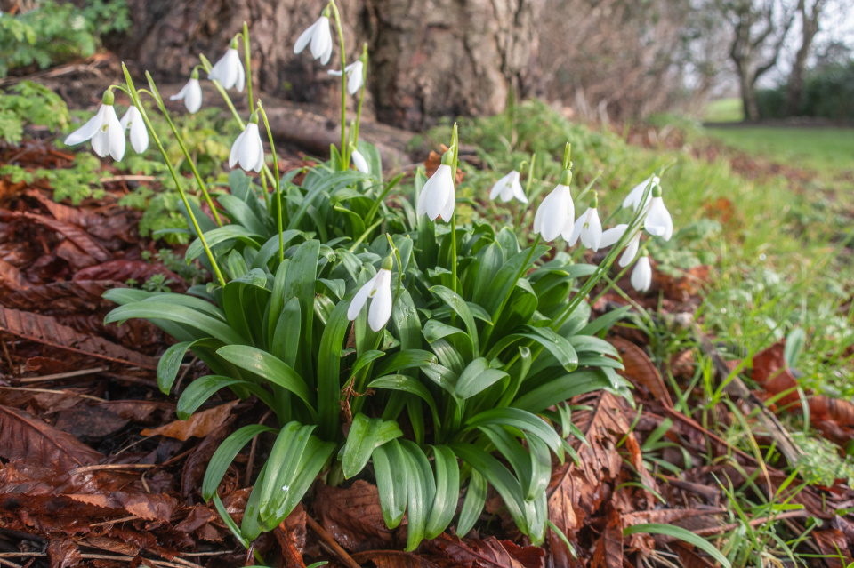 Signs of Spring | Kernow | Blipfoto