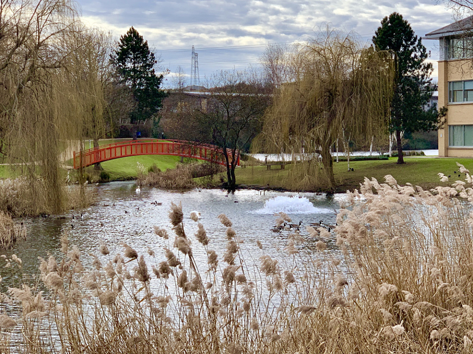 Little red bridge | Carscribe | Blipfoto