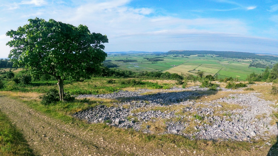 Lyth Valley | ricky_p | Blipfoto