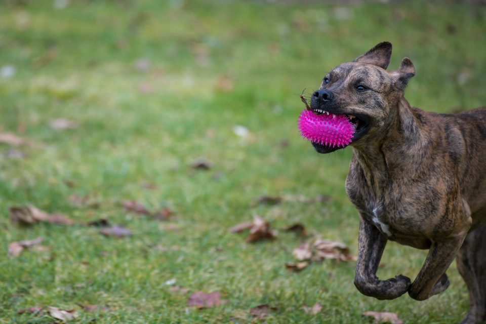 Full Tilt into 2024 | dbifulco | Blipfoto