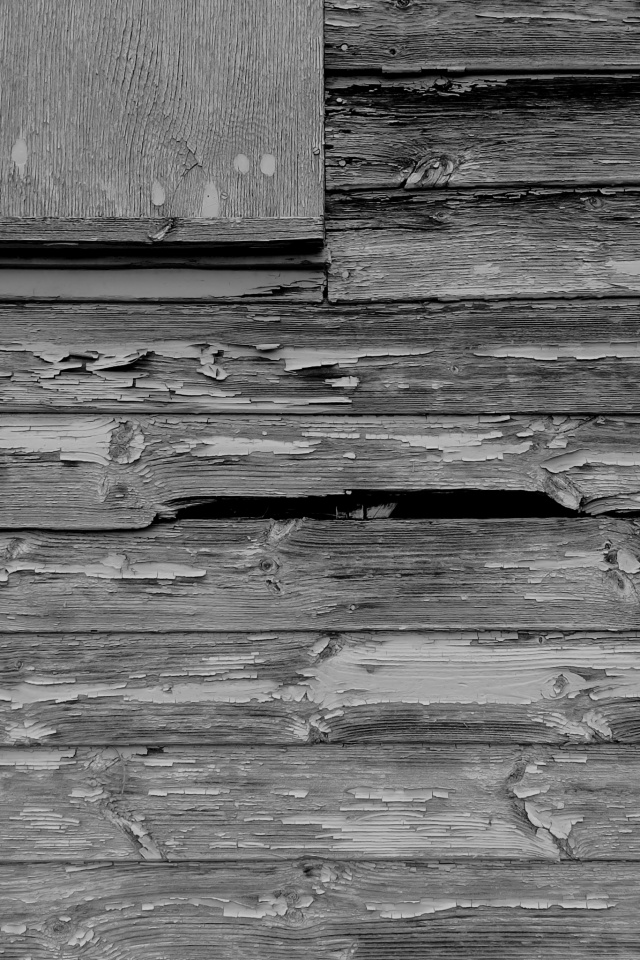 Oiness | middleman | Blipfoto