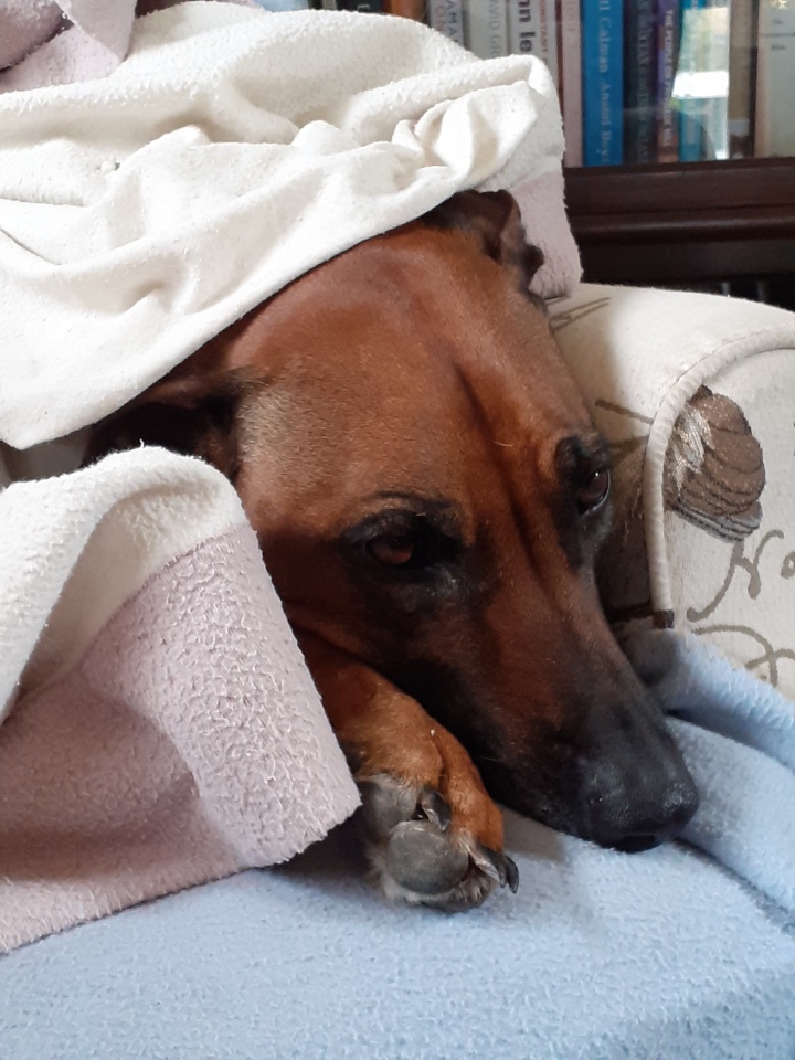 Lurking | Mima | Blipfoto