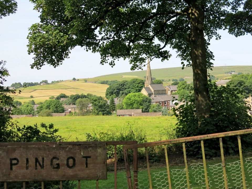 Pingot | Ellisroger | Blipfoto