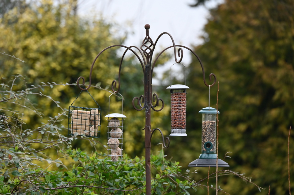 A cold damp morning with a... | IAE | Blipfoto