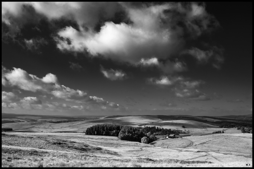Cleugh Head ... | RobinDown | Blipfoto