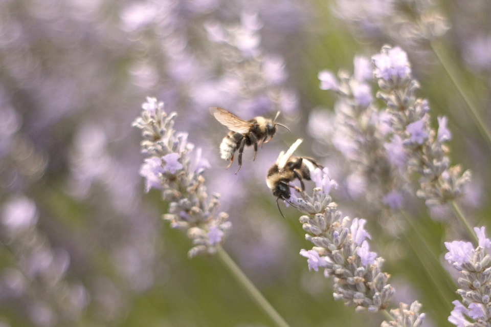 After you... | LizMBpics | Blipfoto