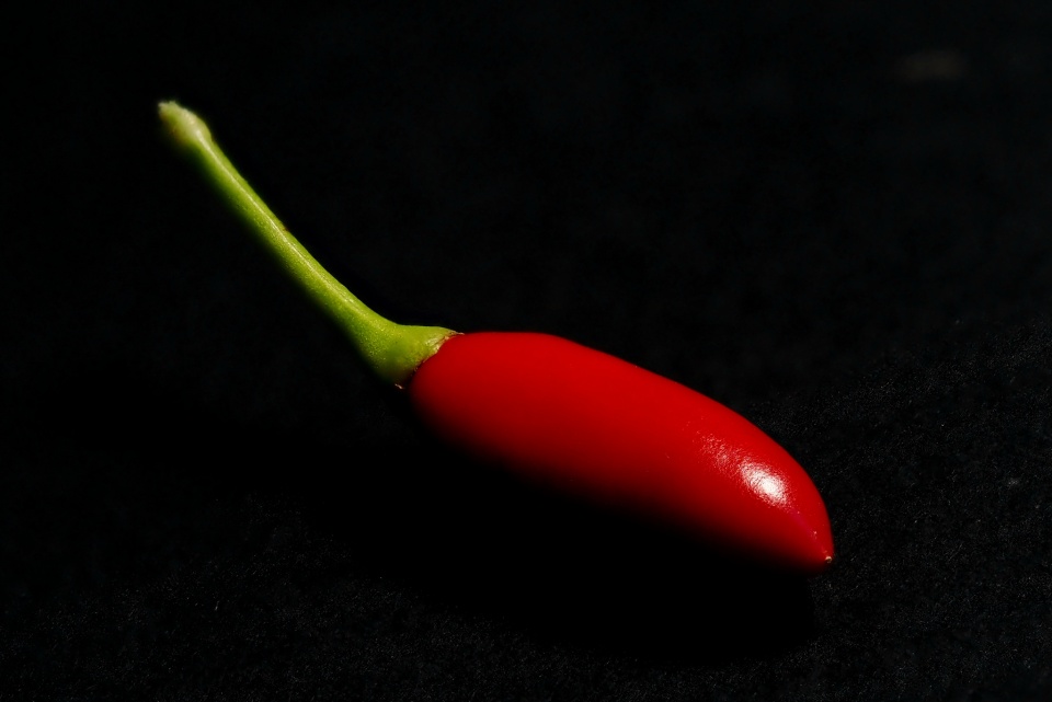 Floating red chilli | AnnieBelle | Blipfoto