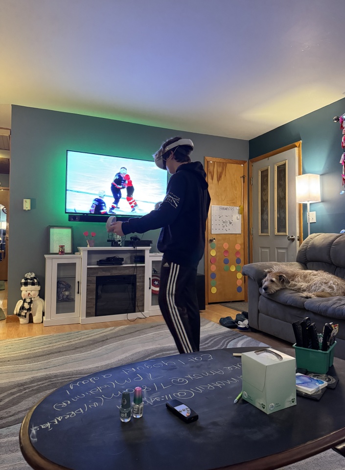 VR Vs Hockey | TurtleBug | Blipfoto