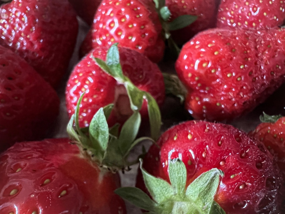 red | greengirl | Blipfoto