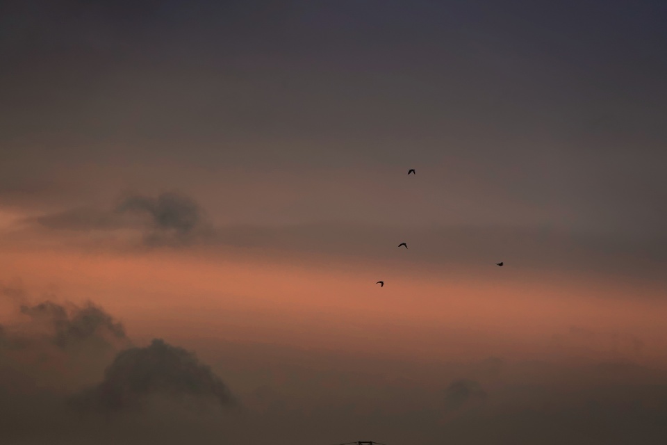 Sunset Flight | BobsBlips | Blipfoto