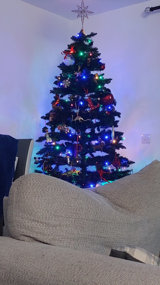 Christmas cheer! | snapper | Blipfoto