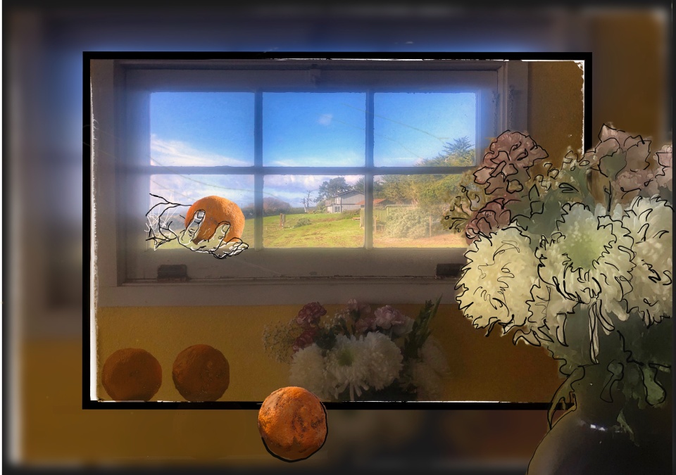 Where Oranges Come From | soozaday | Blipfoto