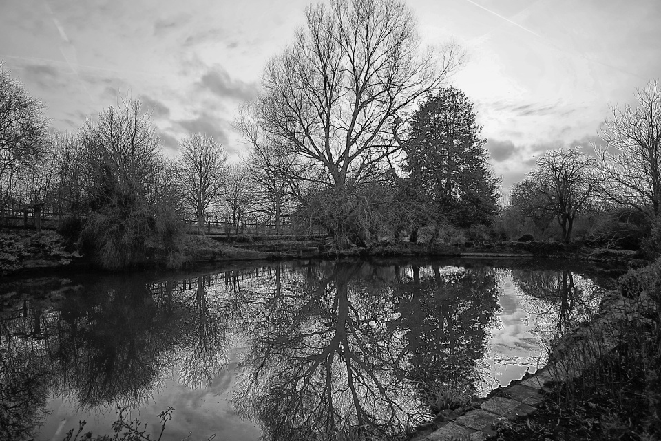 Reflections | BobsBlips | Blipfoto